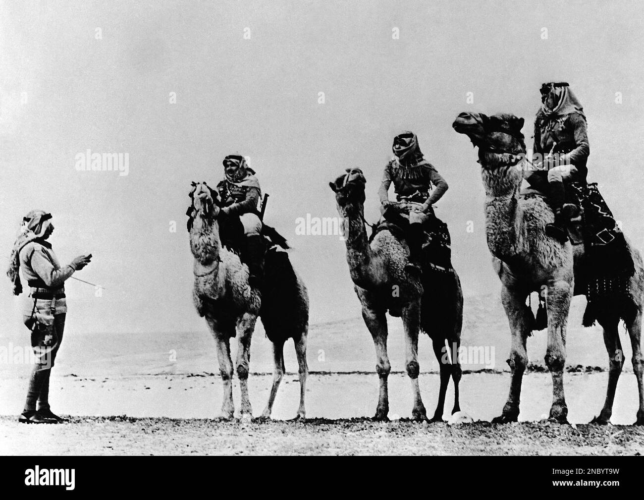 Peace in the wide wastes of the southern deserts which cover almost ...