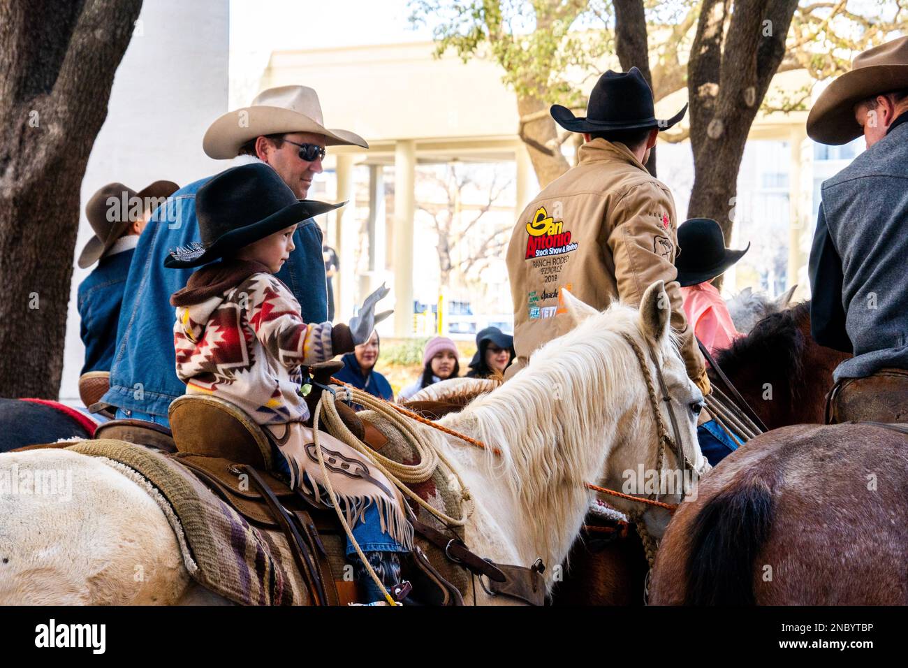 a texas longhorn cattle drive parade in downtown San Antonio Stock ...