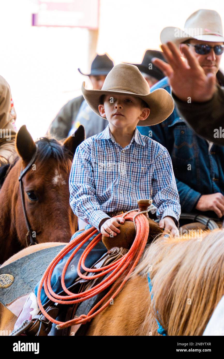 a texas longhorn cattle drive parade in downtown San Antonio Stock ...