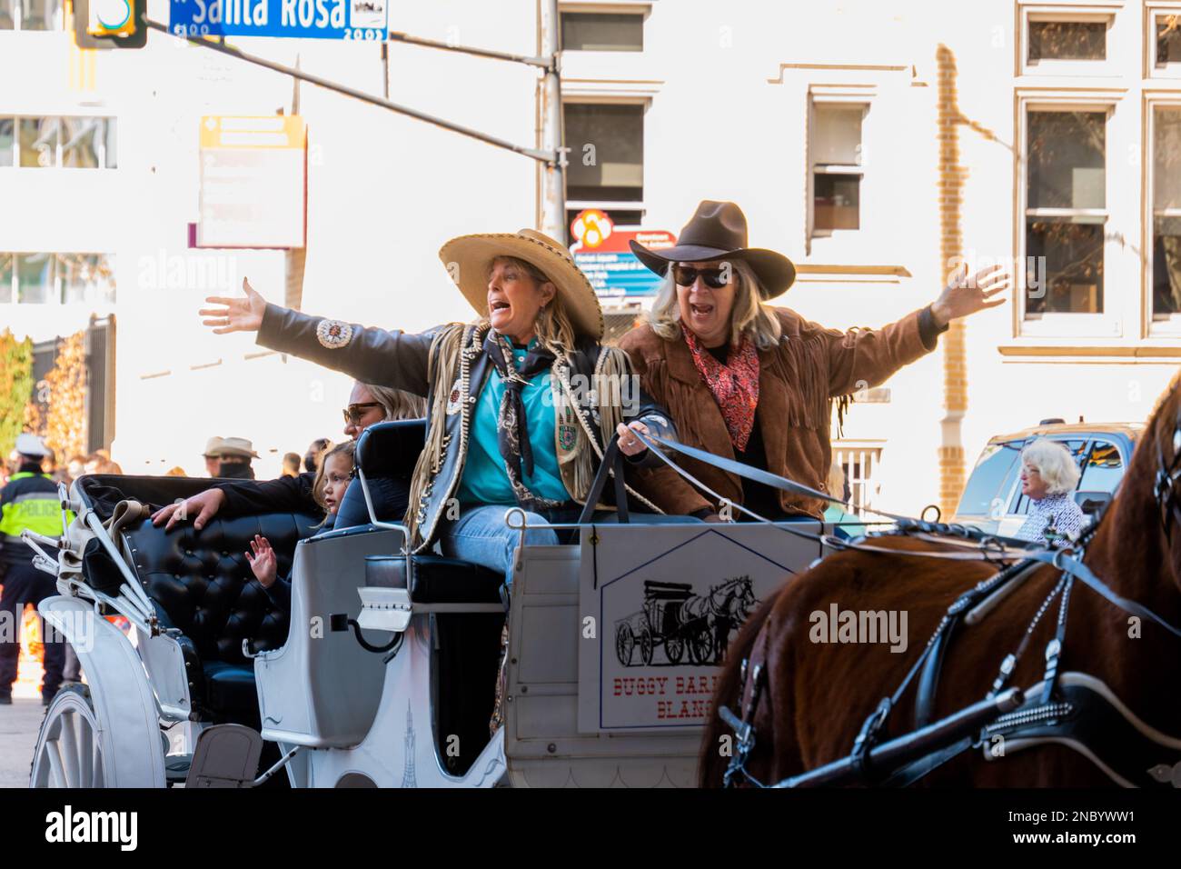 a texas longhorn cattle drive parade in downtown San Antonio Stock ...