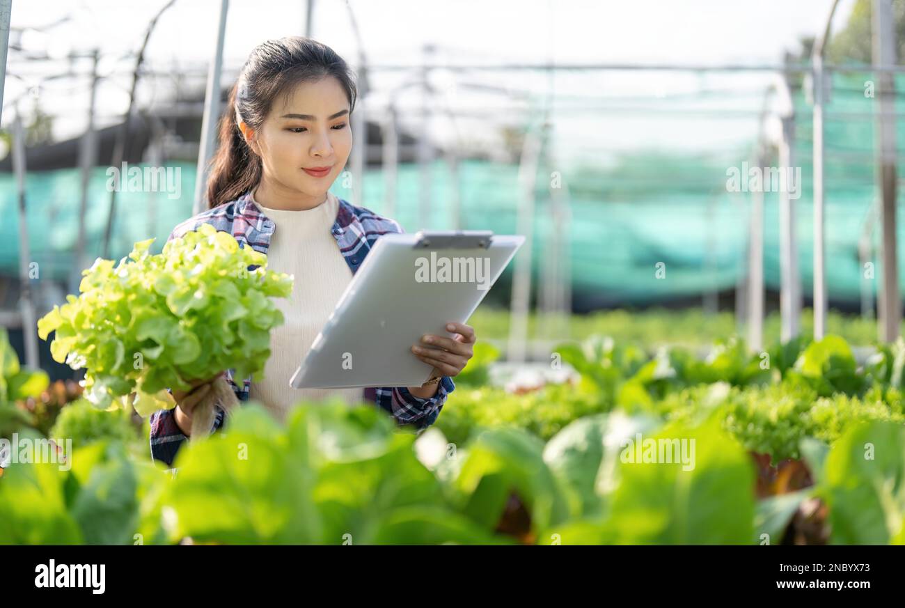 Asian female farmer record data in his farm, trying to collect and ...