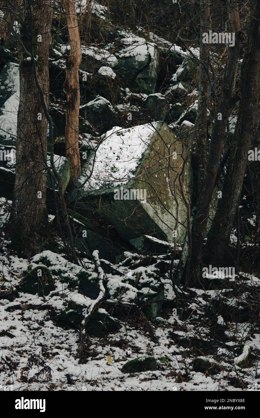 Rhombus shaped hi-res stock photography and images - Alamy