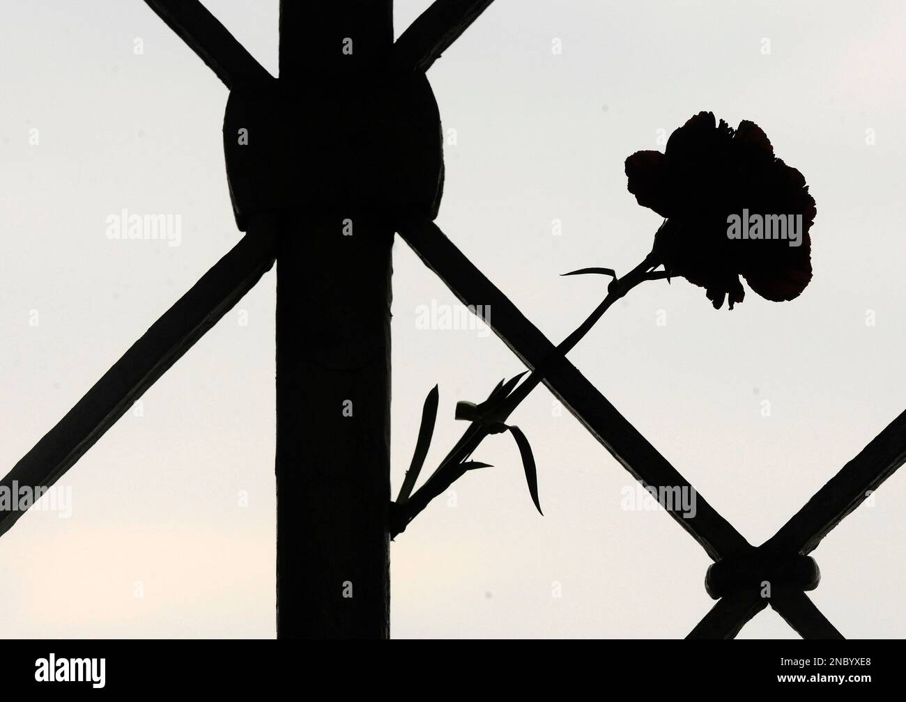 A flower is placed on the gate of the main entrance in the former Nazi ...