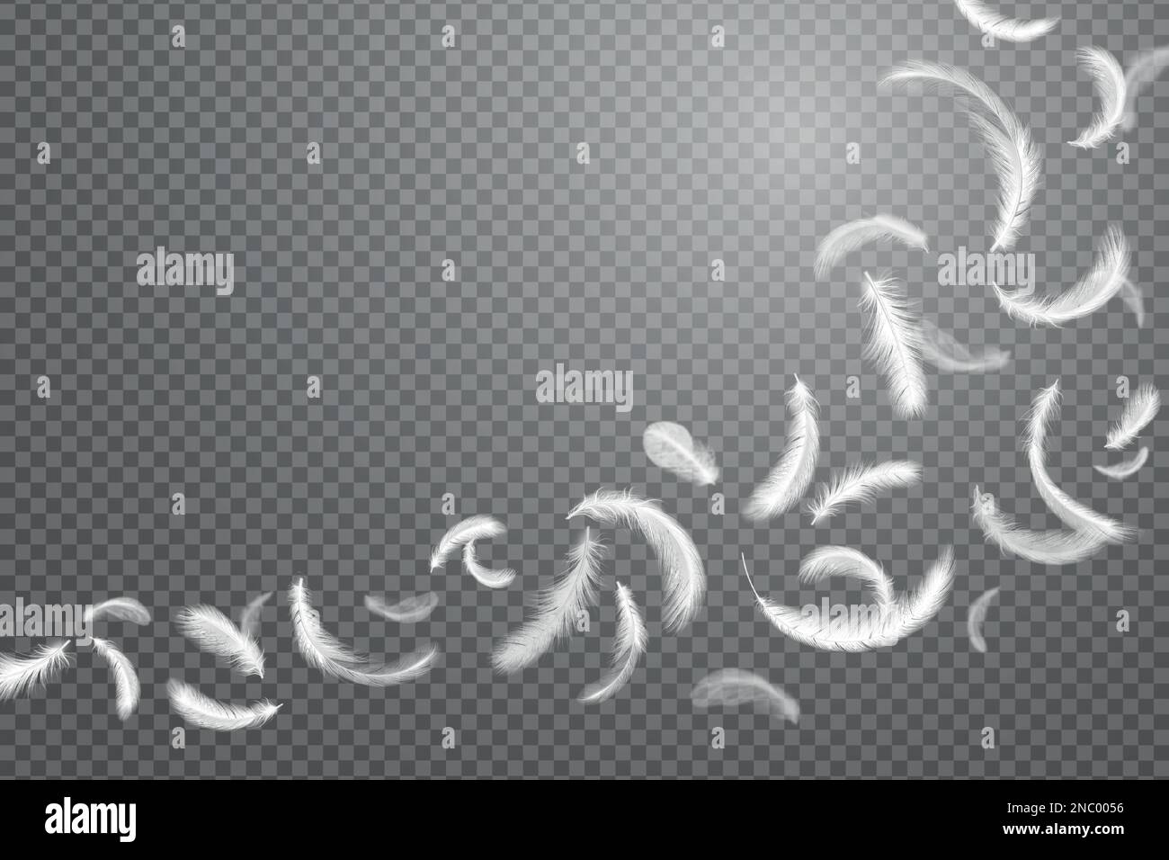 Isolated floating feathers, goose fly. Falling white plumage, 3d ...