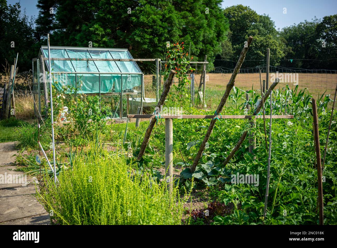 Peggy Davies' garden at Five Oaks in West Sussex, England, UK Stock ...