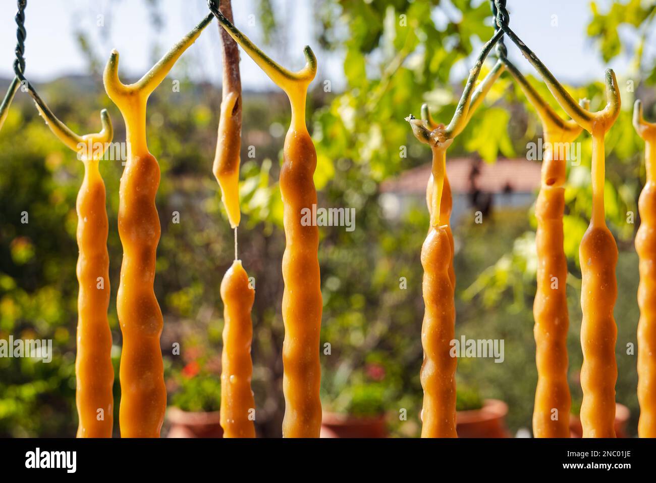 Traditional Cypriot Soutzoukos or shoushoukos, similar to churchkhela ...