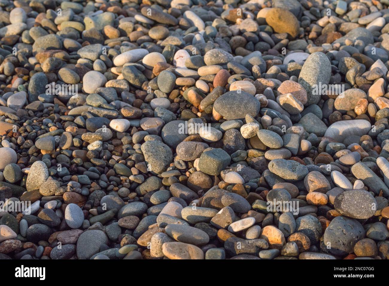 Pebbles on the sea shore Stock Photo - Alamy