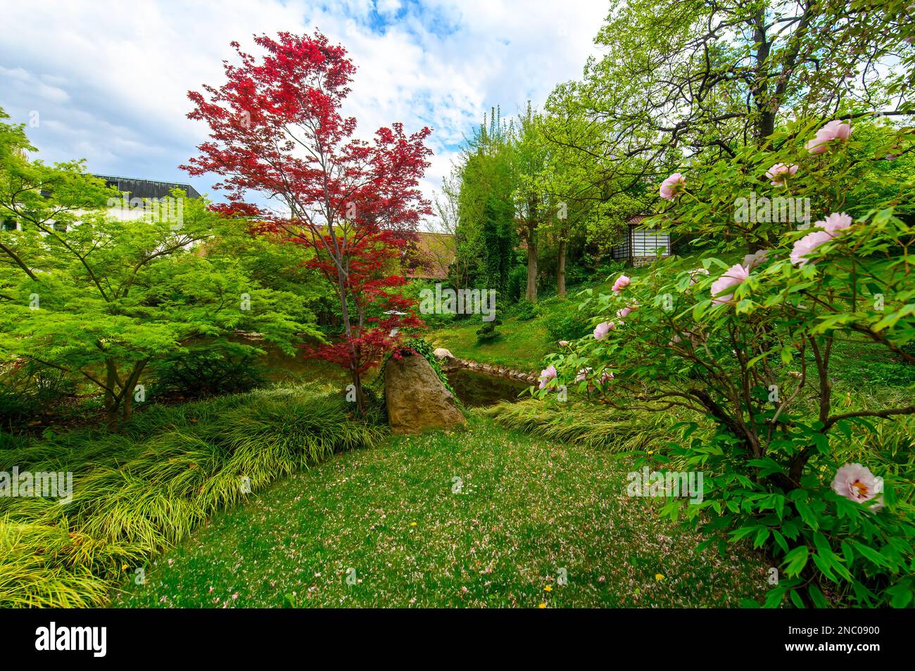 Beautiful trees and flowers in the Japanese garden in the Budapest Zoo ...