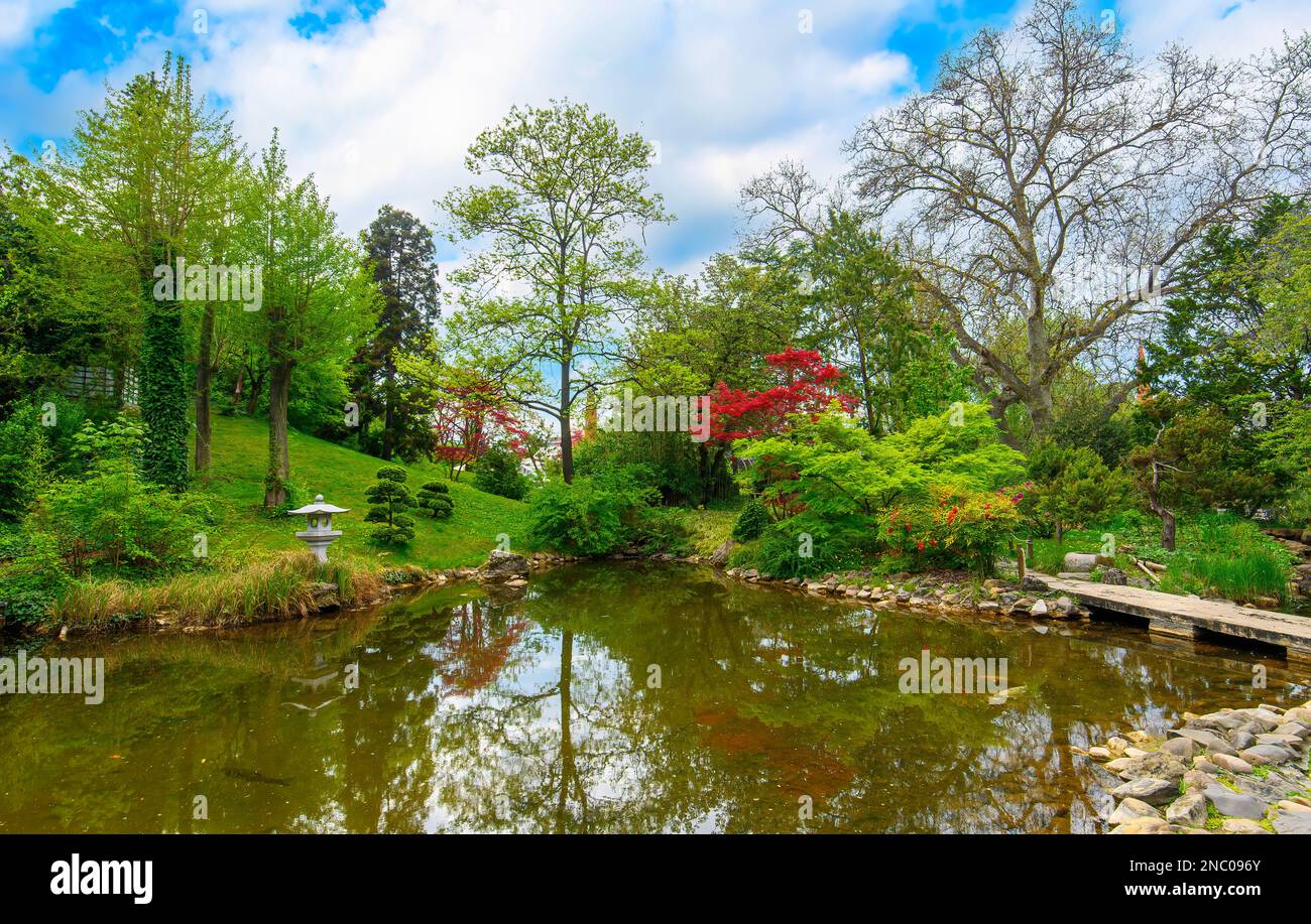Beautiful trees and flowers in the Japanese garden in the Budapest Zoo ...