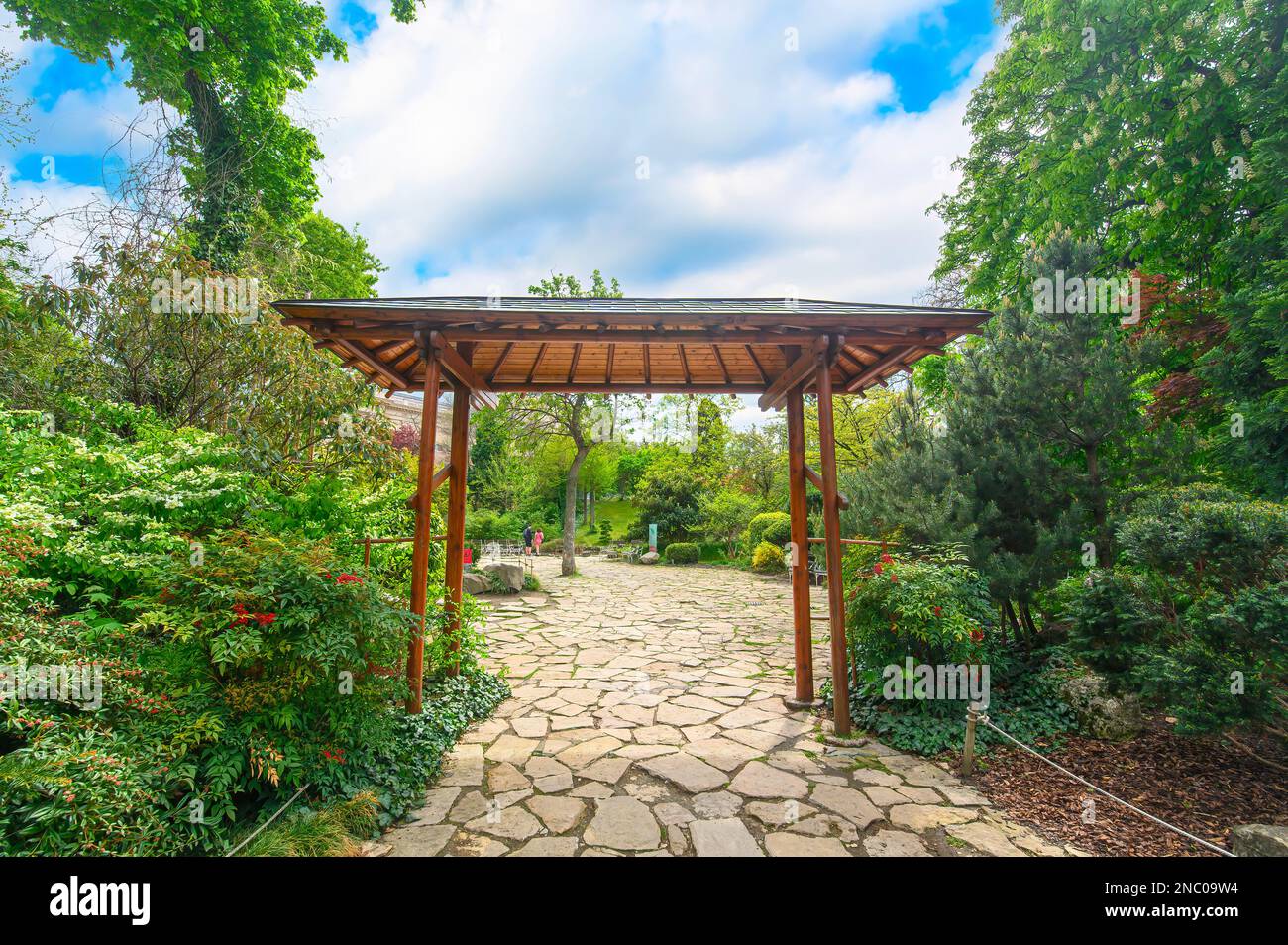 Beautiful trees and flowers in the Japanese garden in the Budapest Zoo ...