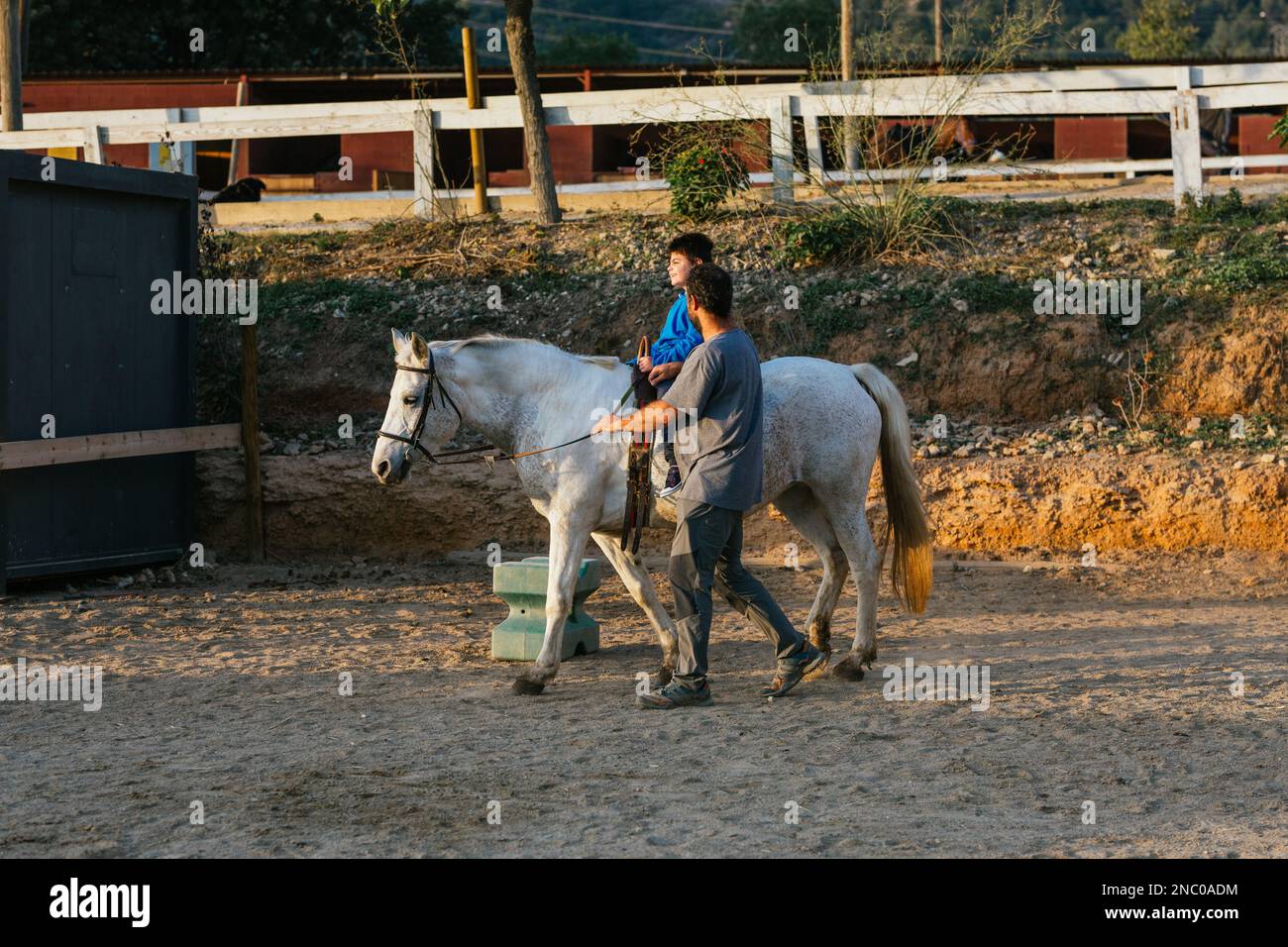 Child with disabilities riding a horse while having equine therapy in ...