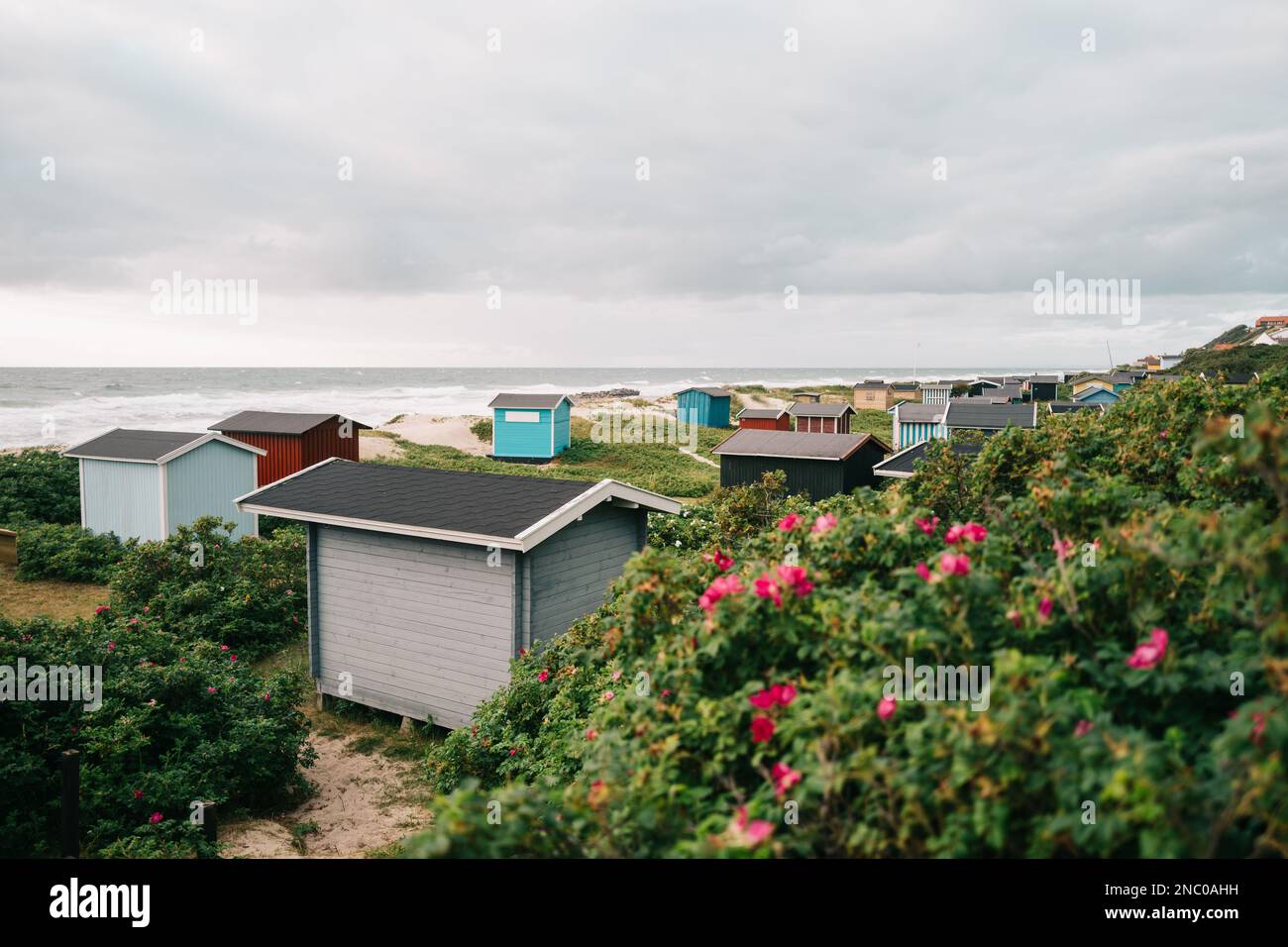 Small colorful beach huts in the dunes at the beach, Tisvildeleje ...