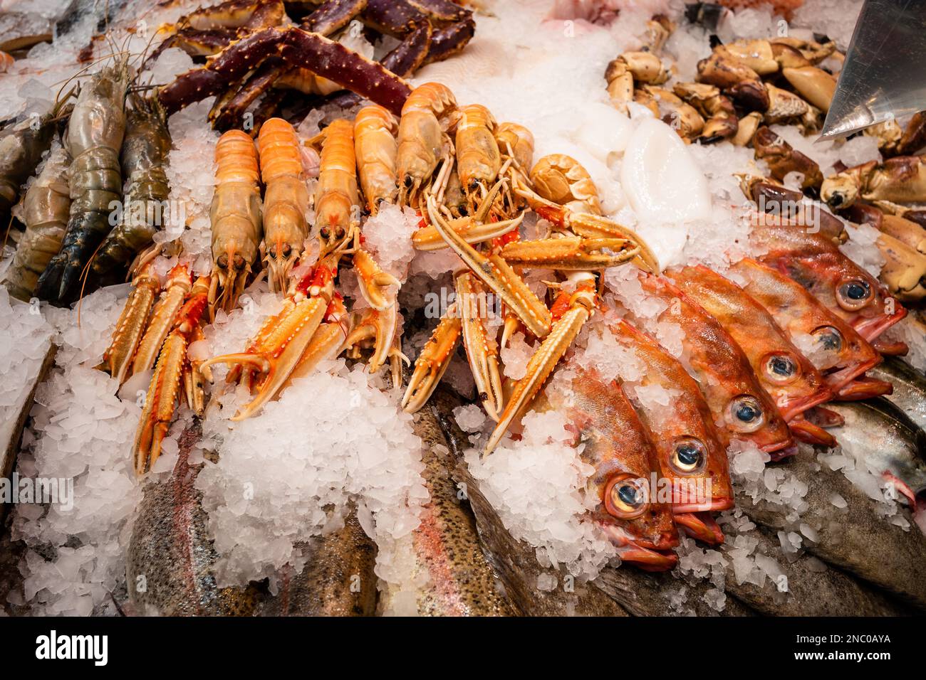 Variety of fresh seafood on ice at the local market. Torvehallerne ...