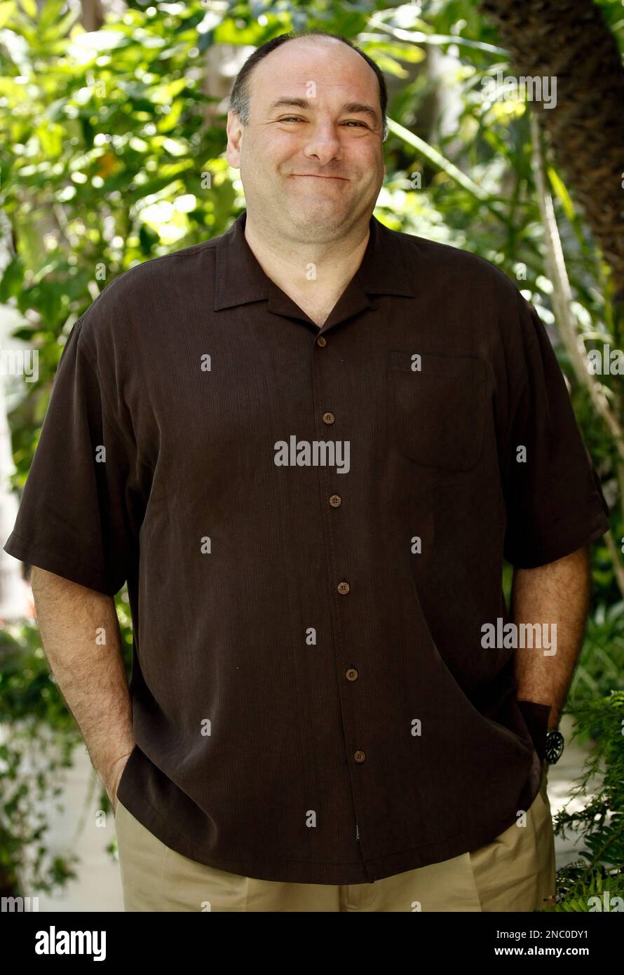Actor James Gandolfini, from the film "Cinema Verite", poses for a ...