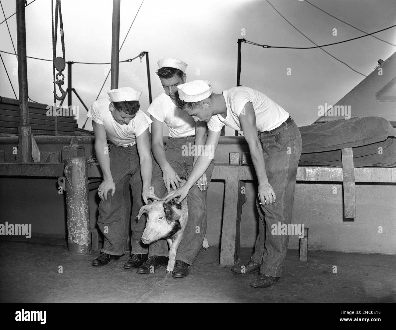 Seaman 2nd class Dale Lipp, center, of Miamisburg, Ohio, holds the Navy ...