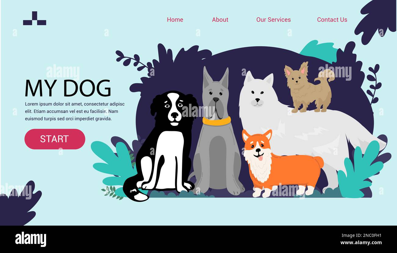 large dogs border set, front view spitz, french mastiff, labrador ...