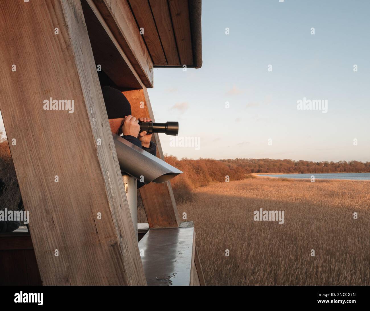Male ornithologist wild life photographer photographing birds and ...