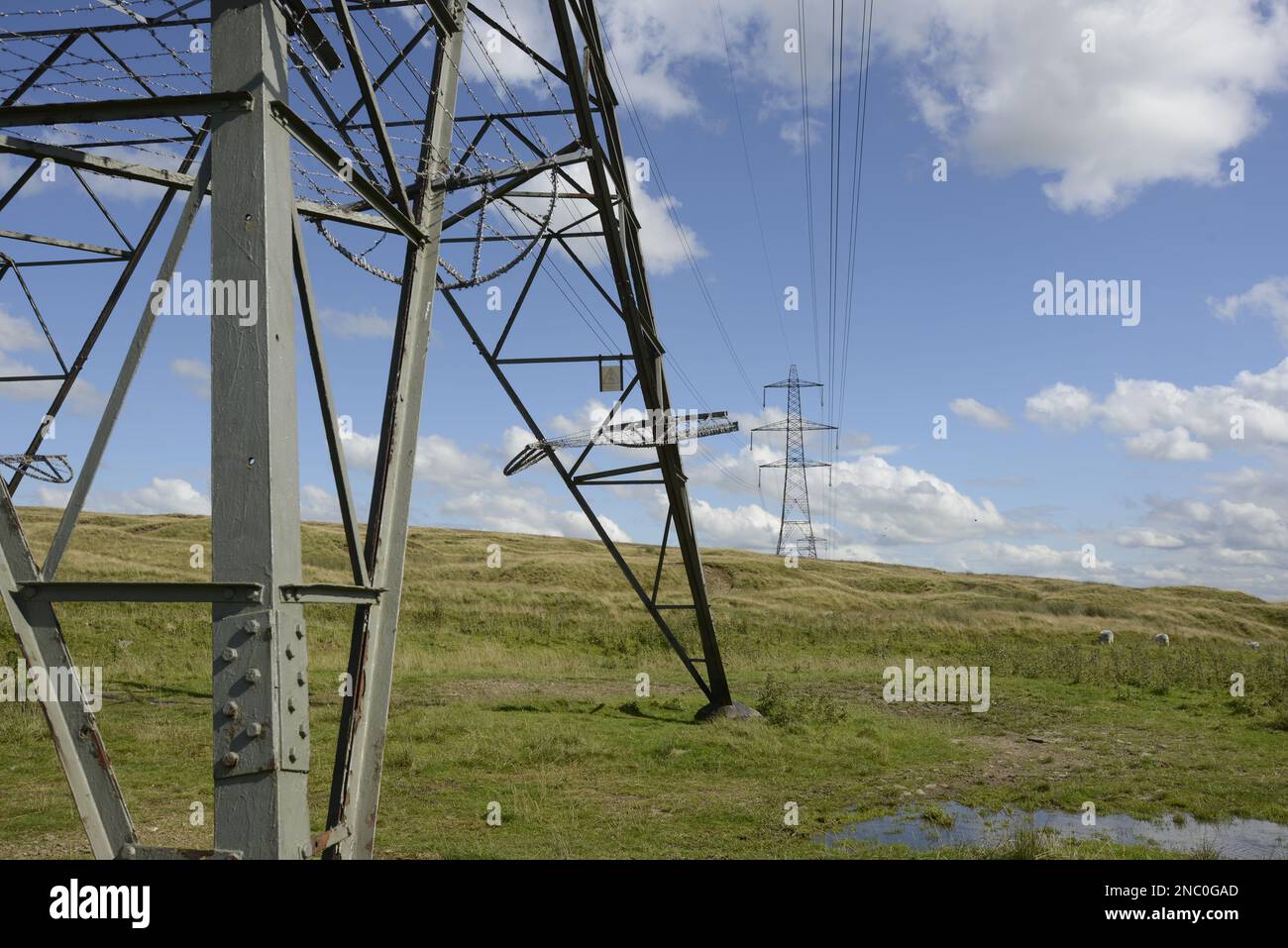 Pylons across the countryside Stock Photo - Alamy