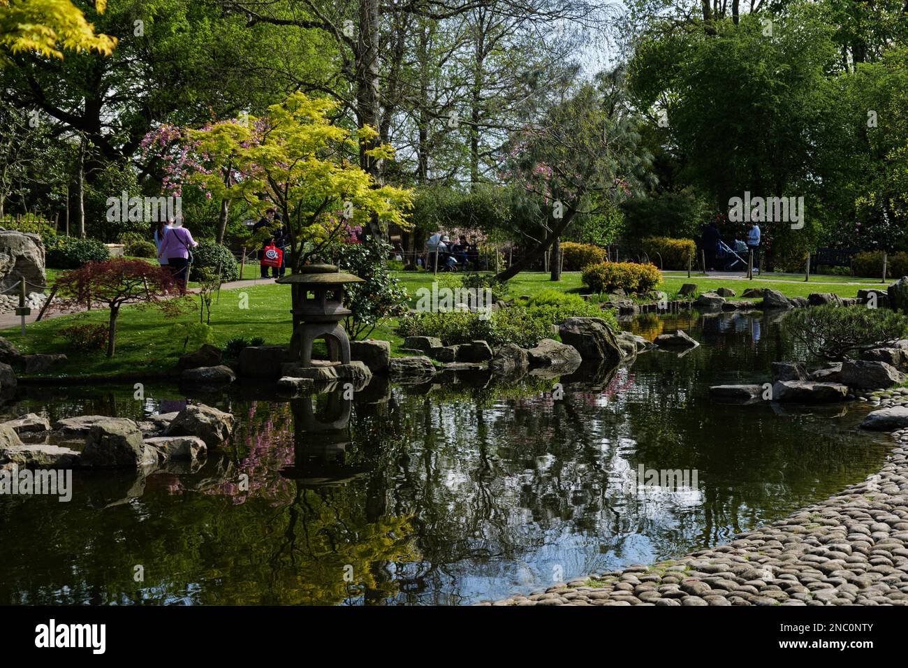 London - 04 11 2022: Glimpse of a corner of the lake in Kyoto garden in Holland park Stock Photo ...