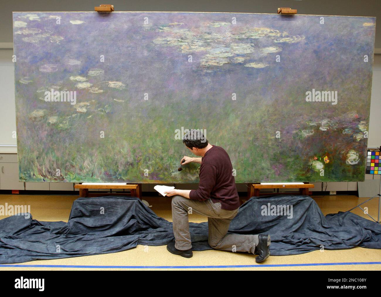 FOR STORY MONET NENUFARES - FILE - In this Jan. 19, 2011 file photo ...