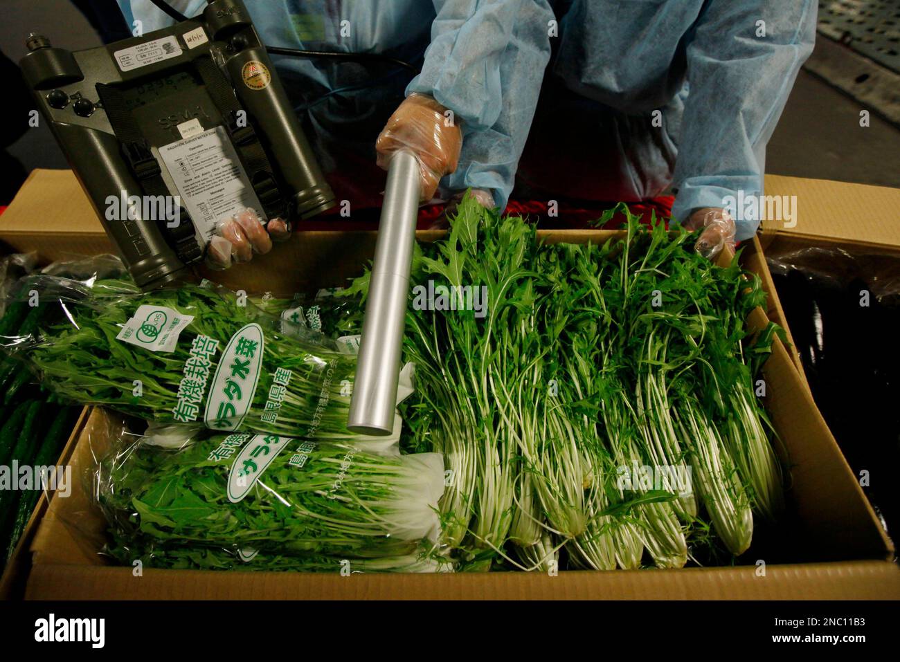 Two inspectors from Hong Kong's Food and Environmental Hygiene ...