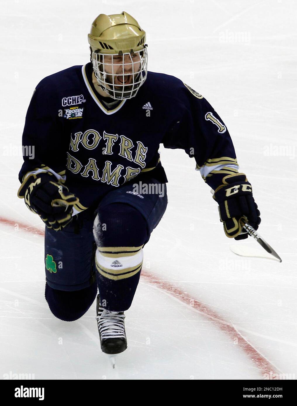 Notre Dame left wing Jeff Costello celebrates after scoring on ...
