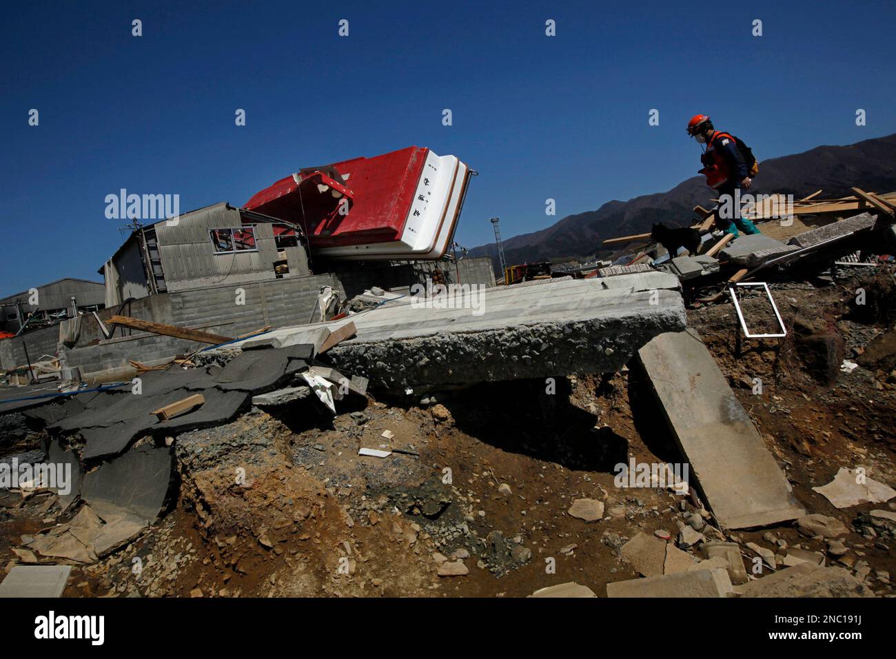 A member of Japanese rescue team search for victims with dog in an area ...