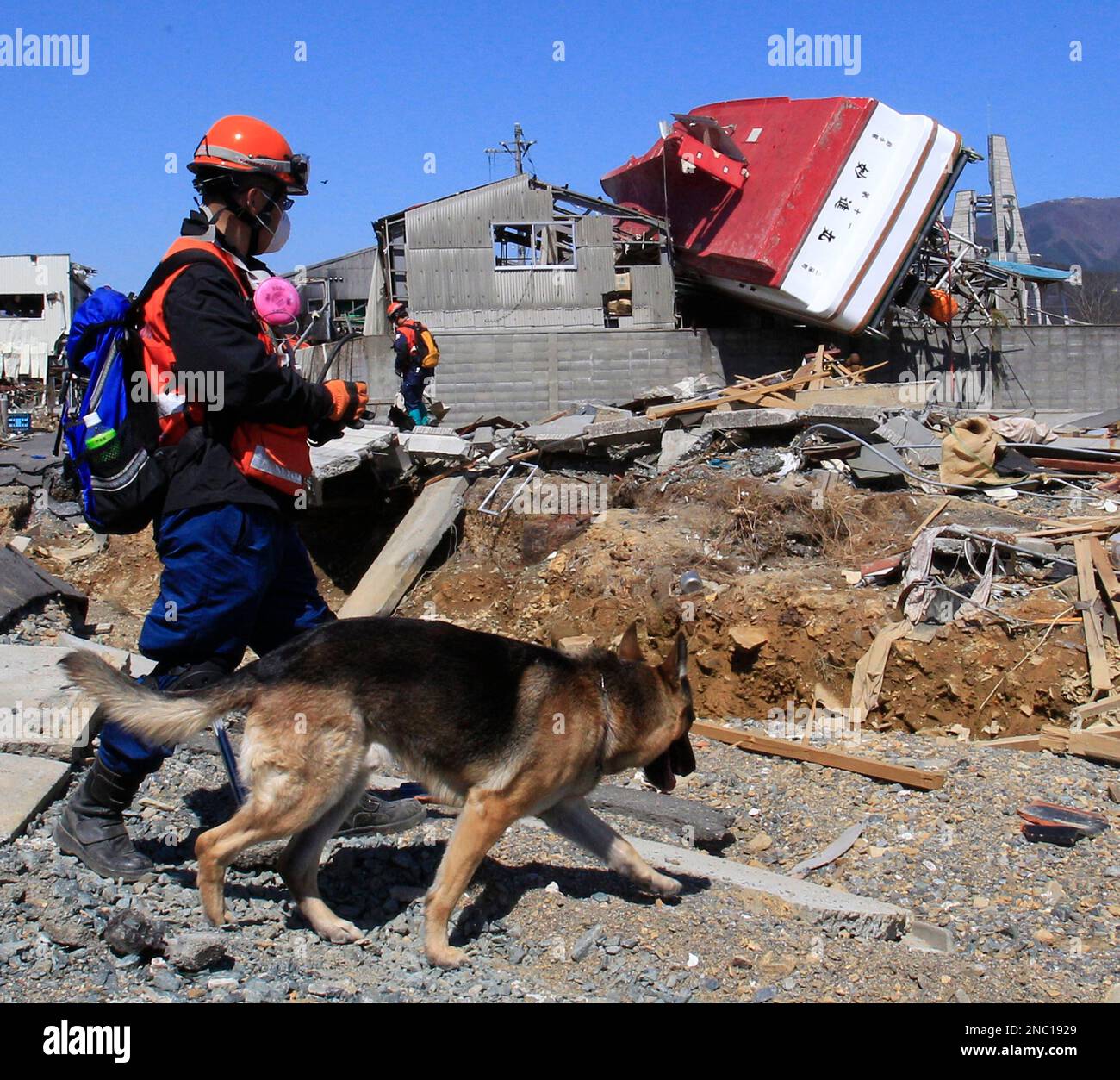 Japanese rescue team members search victims with dogs at a devastated ...