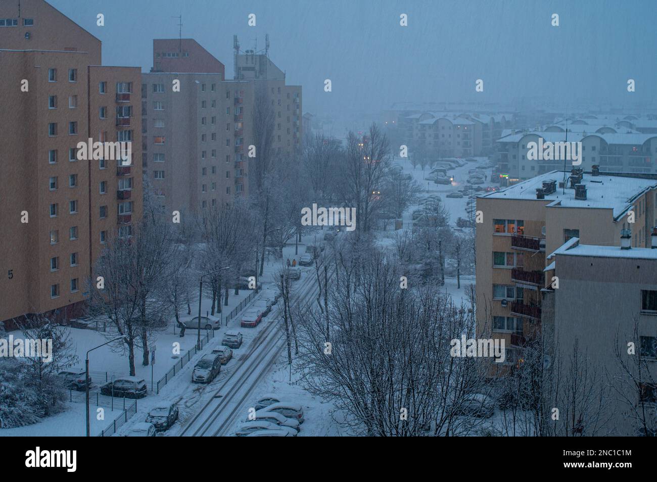 An urban winter scene featuring a street filled with snowfall and ...