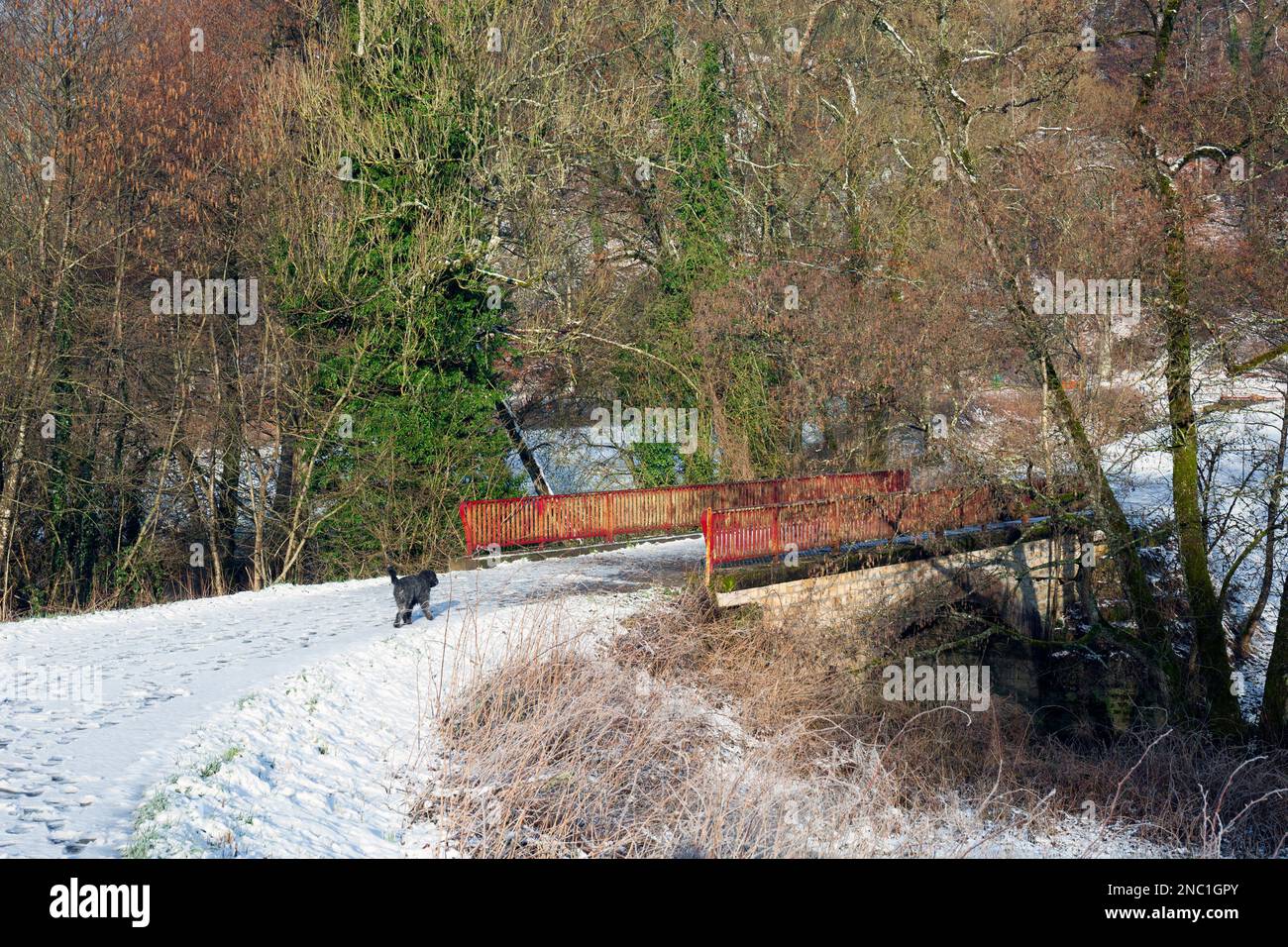 Dall bridge hi-res stock photography and images - Alamy