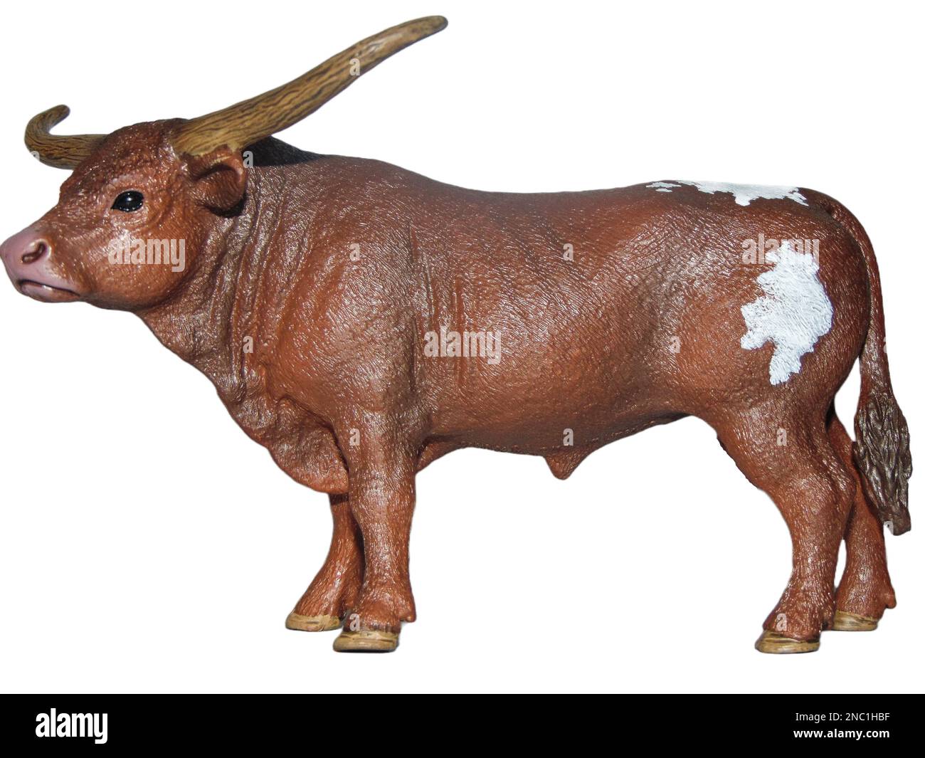 Toy zebu bull isolated on white background Stock Photo - Alamy