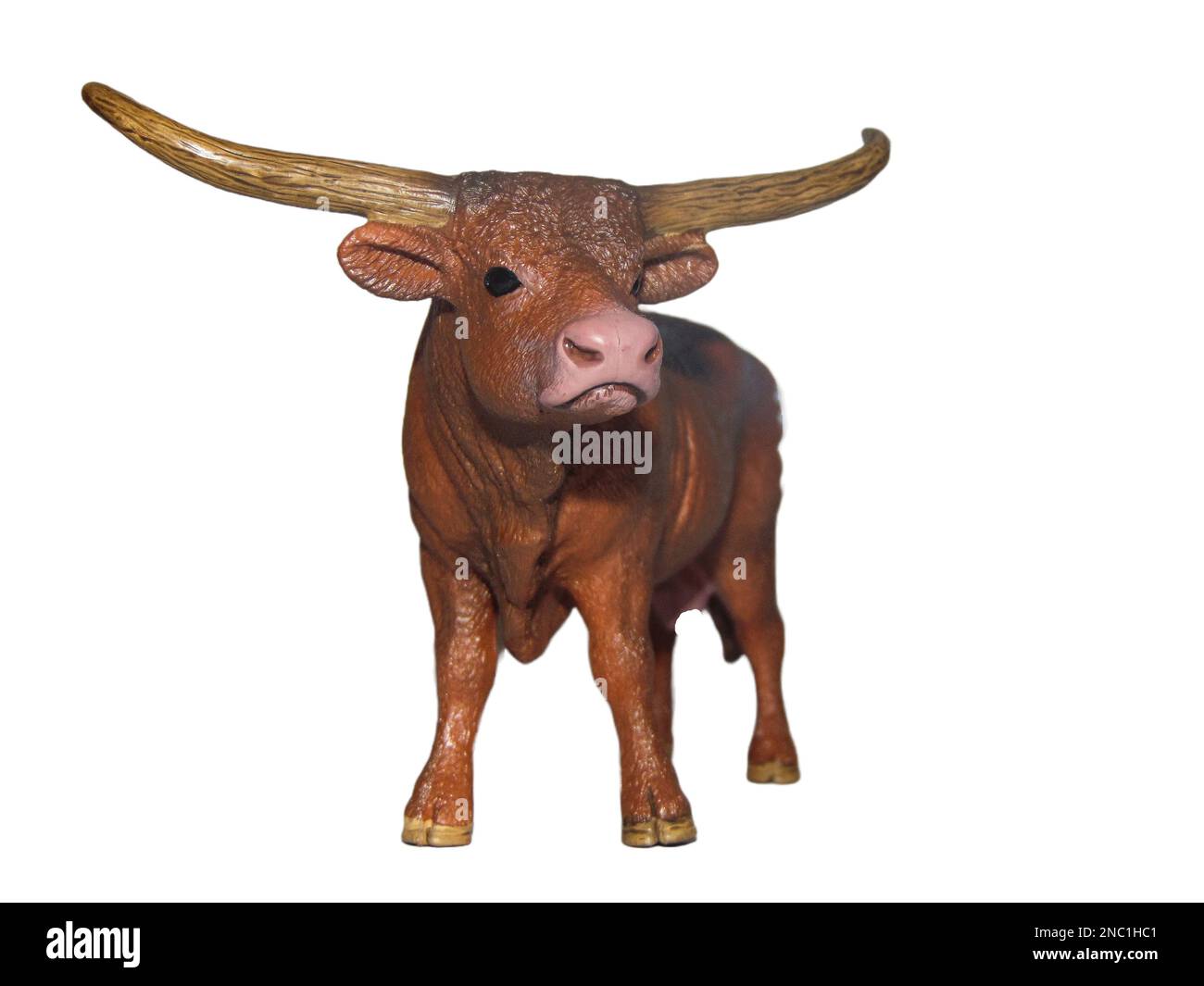 Toy zebu bull isolated on white background Stock Photo - Alamy