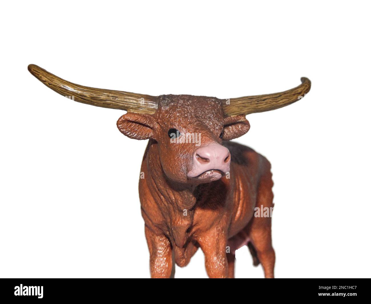 Toy zebu bull isolated on white background Stock Photo - Alamy