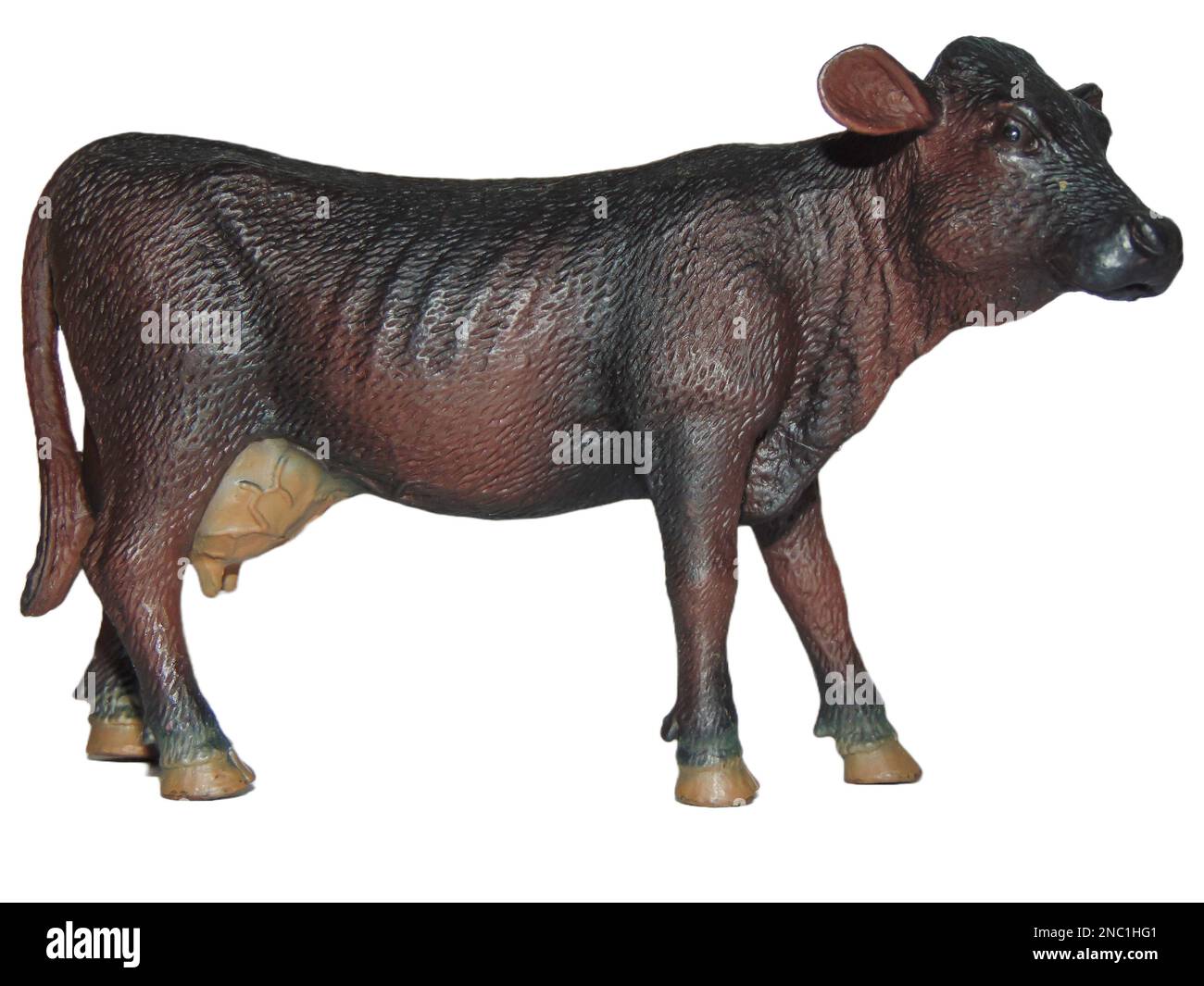 Toy black angus cow isolated on white Stock Photo - Alamy