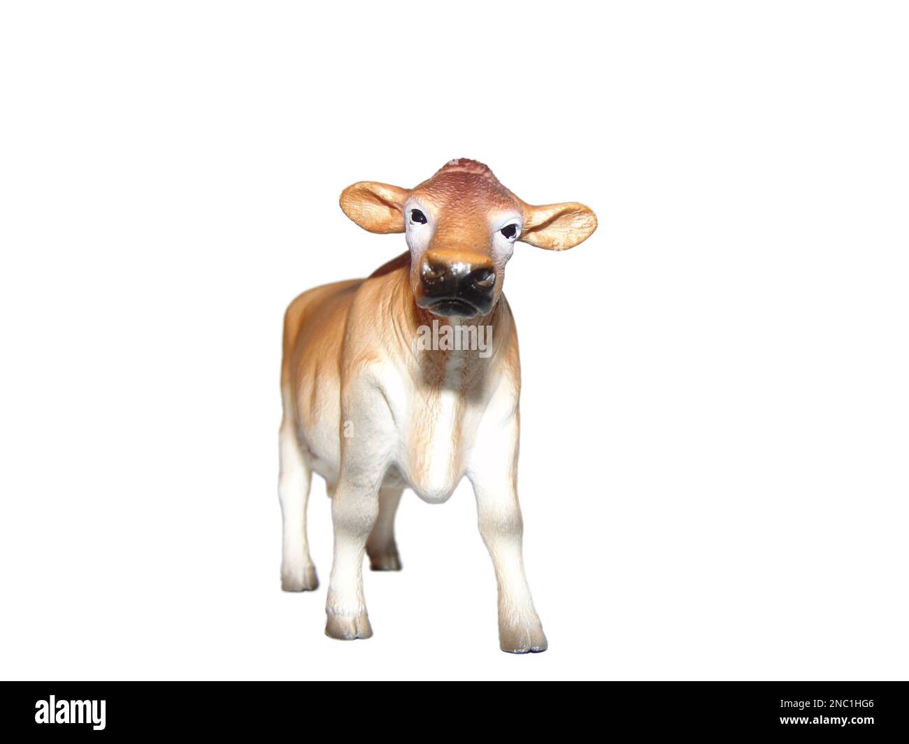 Toy red angus cow isolated on white background Stock Photo - Alamy