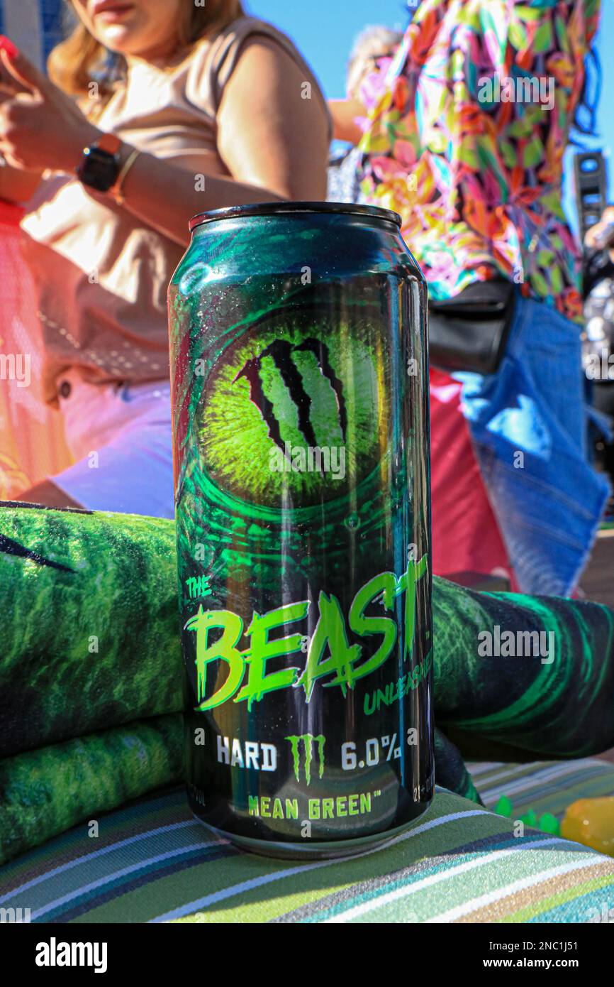 Numerous celebrities and fans come together for Rob Gronkowski''s pre ...