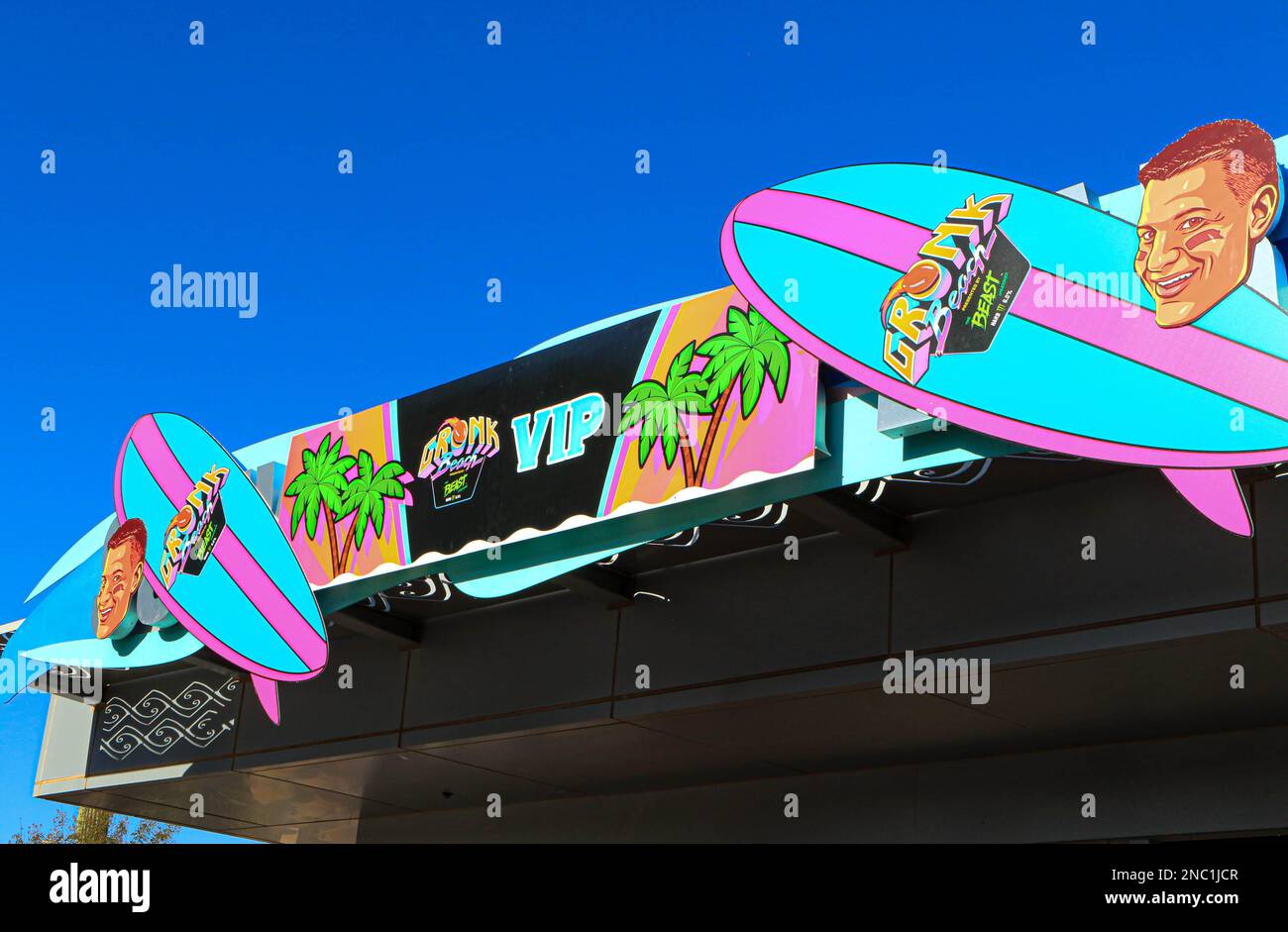 Numerous celebrities and fans come together for Rob Gronkowski''s pre ...