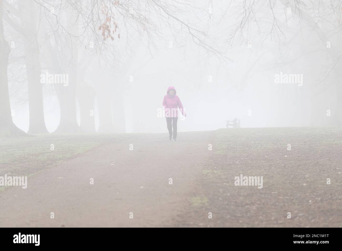 Northampton, UK. Weather. Heavy mist in Abington Park did not stop ...