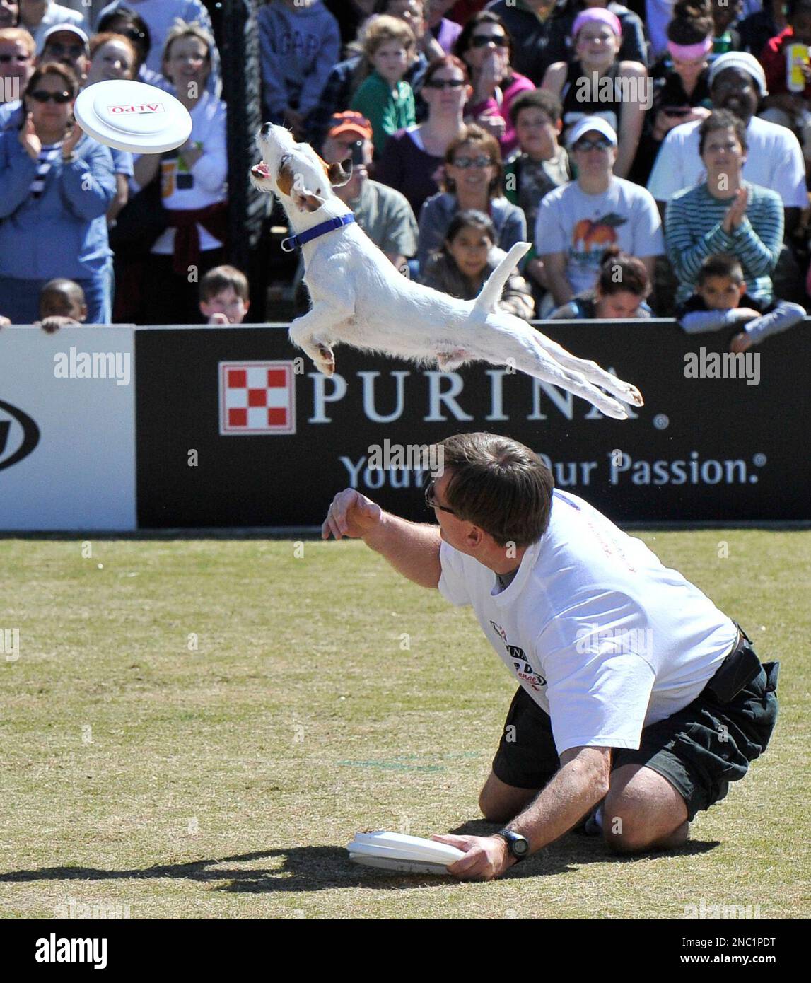 **COMMERCIAL IMAGE** In this photograph taken by AP Images for Purina ...