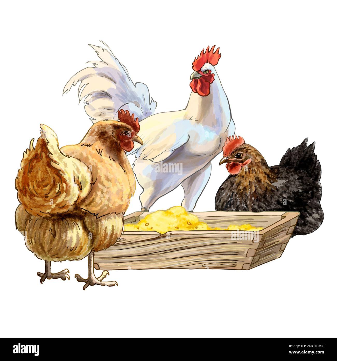 Cockerel silhouette Cut Out Stock Images & Pictures - Alamy