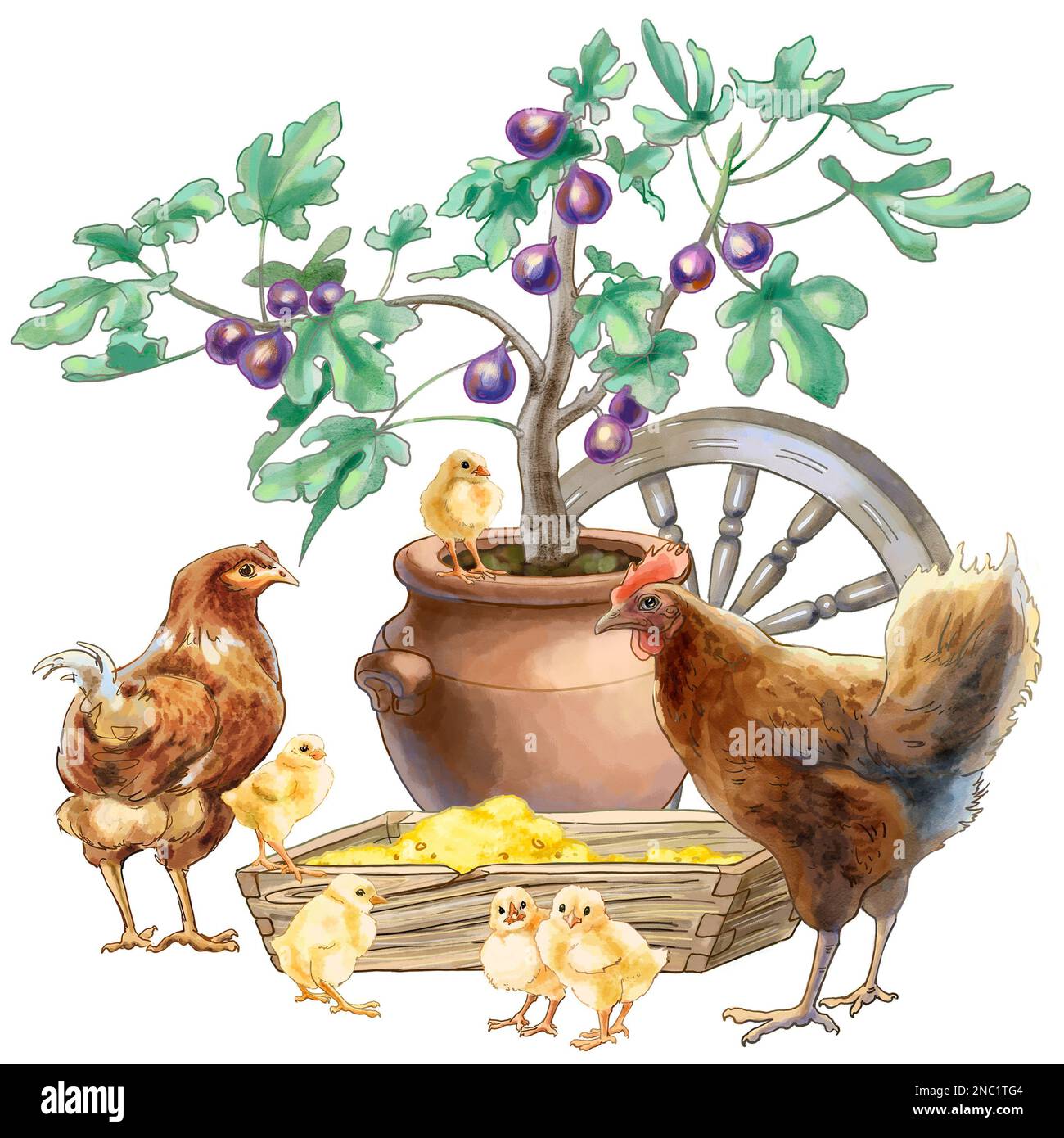 Popular bird drawing hi-res stock photography and images - Alamy