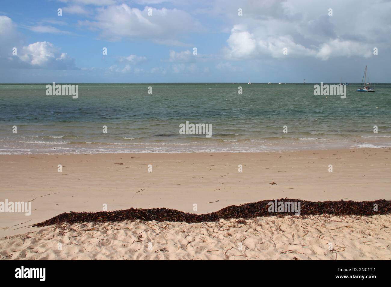 indian ocean at denham (australia Stock Photo - Alamy
