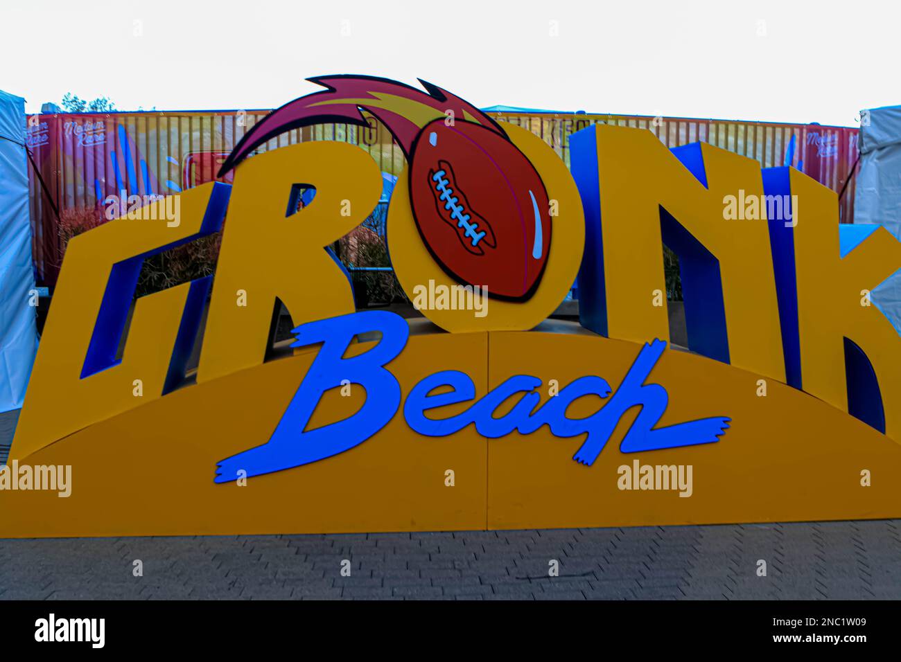 Numerous celebrities and fans come together for Rob Gronkowski''s pre ...