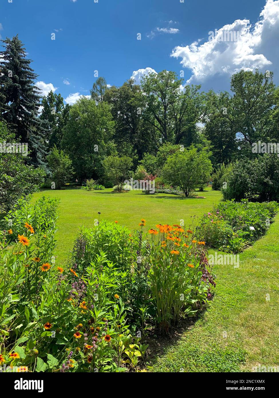 Cottage garden with colorful flowers and green lawn Stock Photo - Alamy