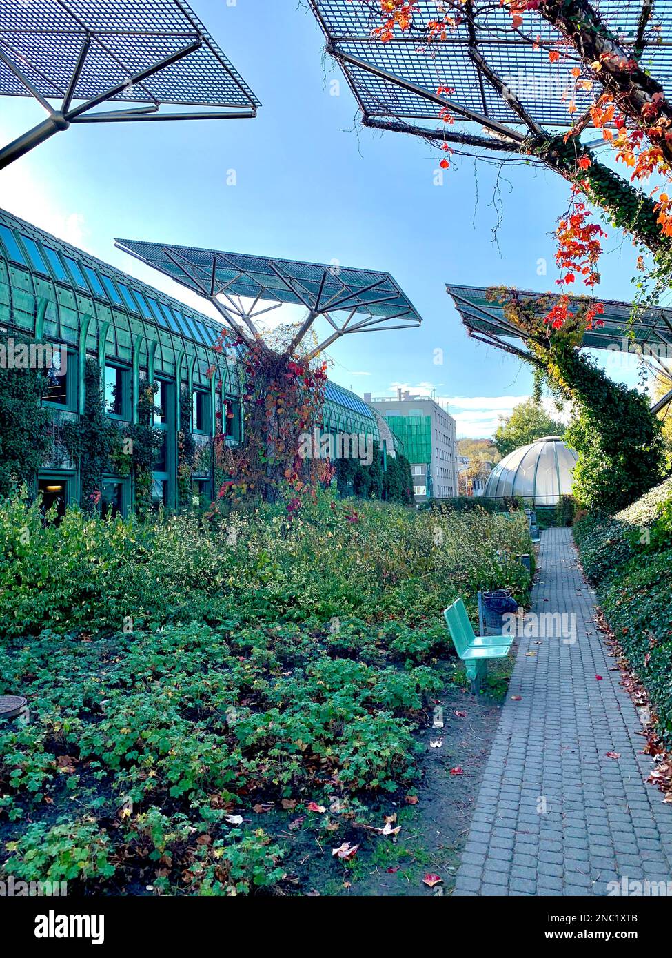 Large cottage garden with solar panels and brick alley Stock Photo - Alamy