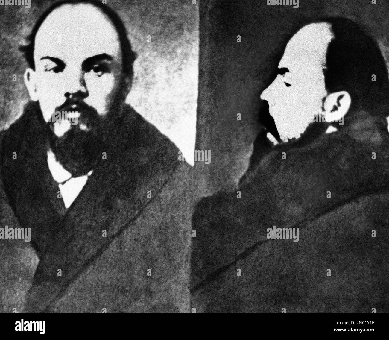 Vladimir Ilich Lenin shown August 31, 1950. (AP Photo Stock Photo - Alamy