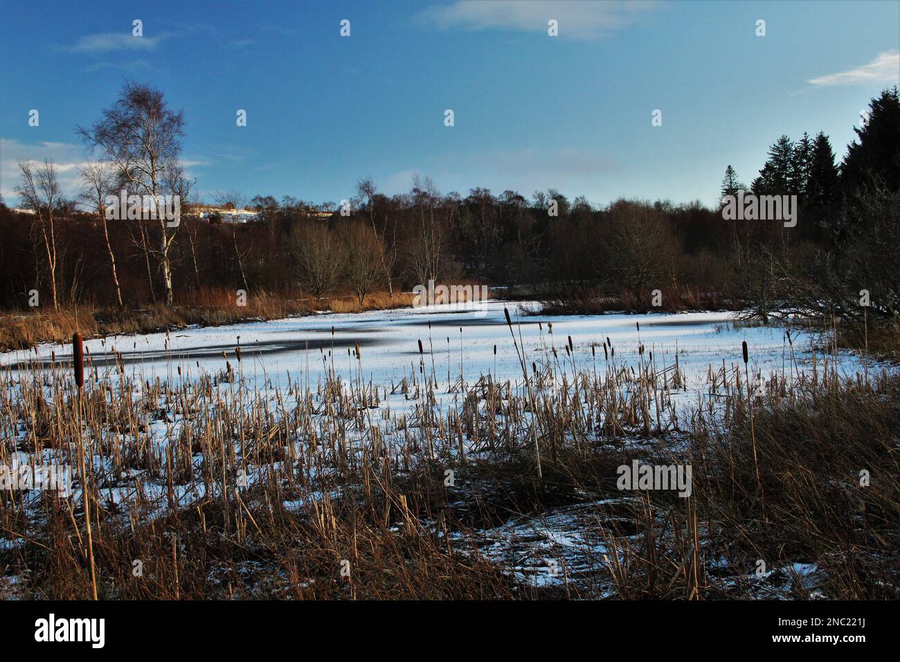 Craigengillan scotland hi-res stock photography and images - Alamy