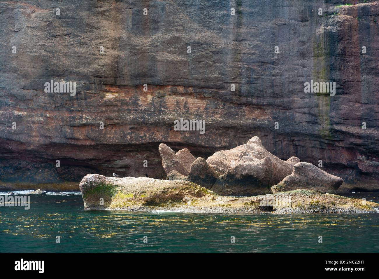 View of Bonaventure island, a protect island in the Gulf of Saint ...