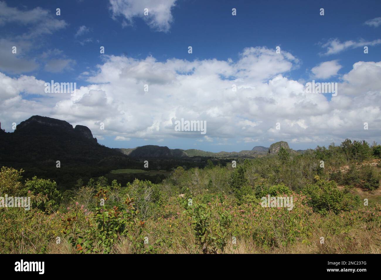 Breathtaking views in Vale de Viñales (Vinales Valley) in Pinar del Rio ...