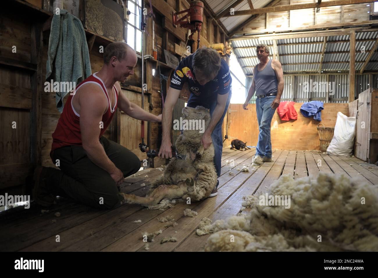 World Champion F1 driver Sebastian Vettel of Germany, Reb Bull Racing ...